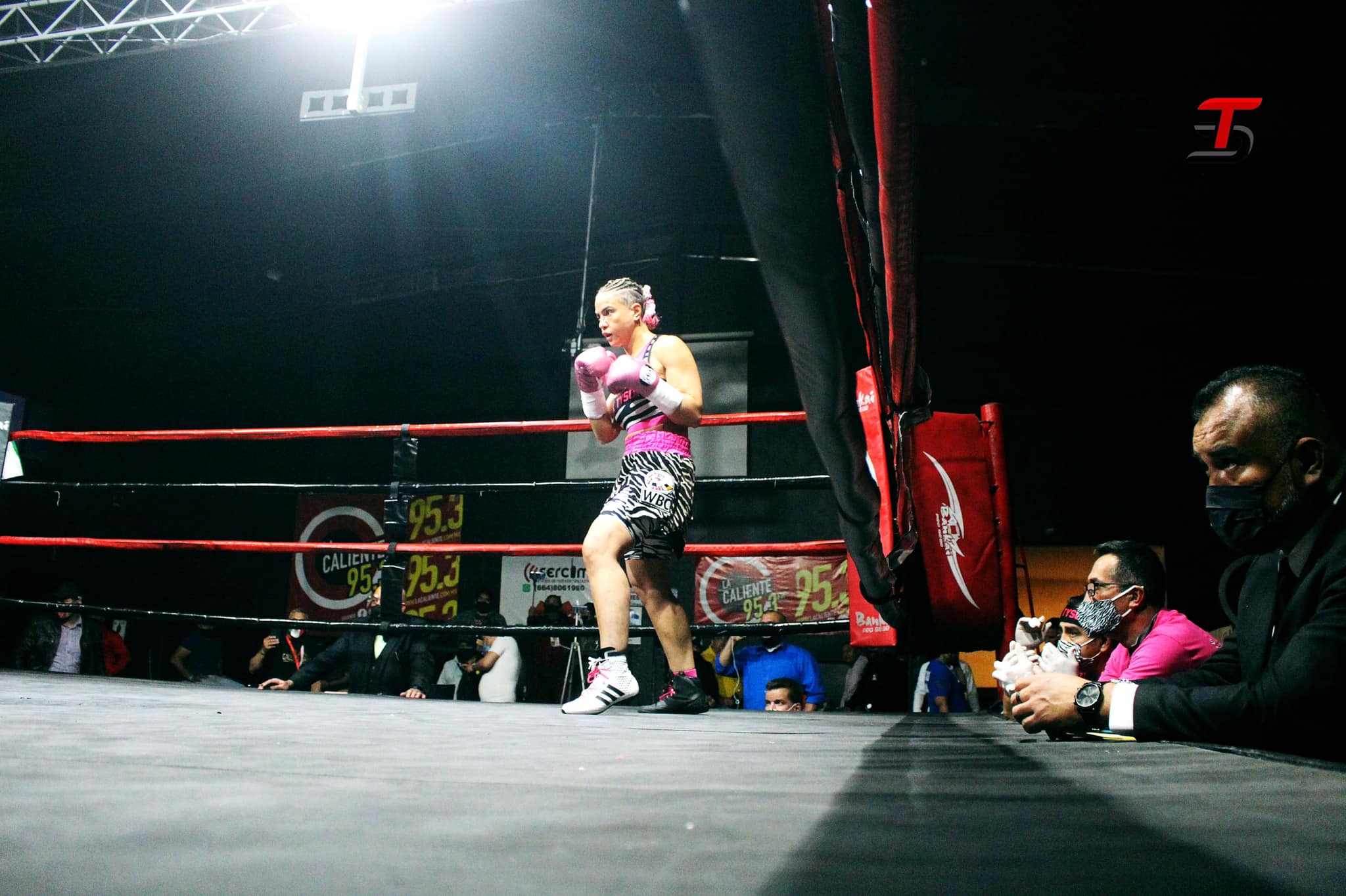 Κάλλια Κουρούνη: Η Pink Tyson νίκησε την κατάθλιψη και αυτή ήταν μόνο η ...